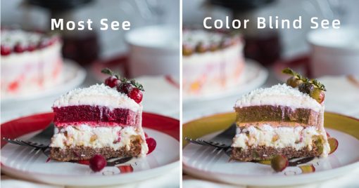 2024 Complete Guide: Navigating Life with Red-Green Color Blindness ...