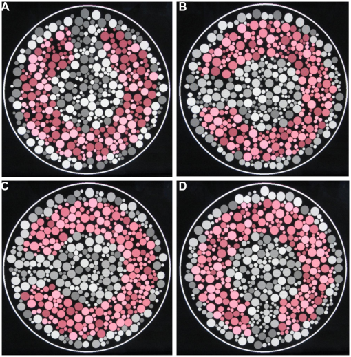 Uncovering Red-Green Colorblindness: Diagnosis Methods and Tests - Covisn