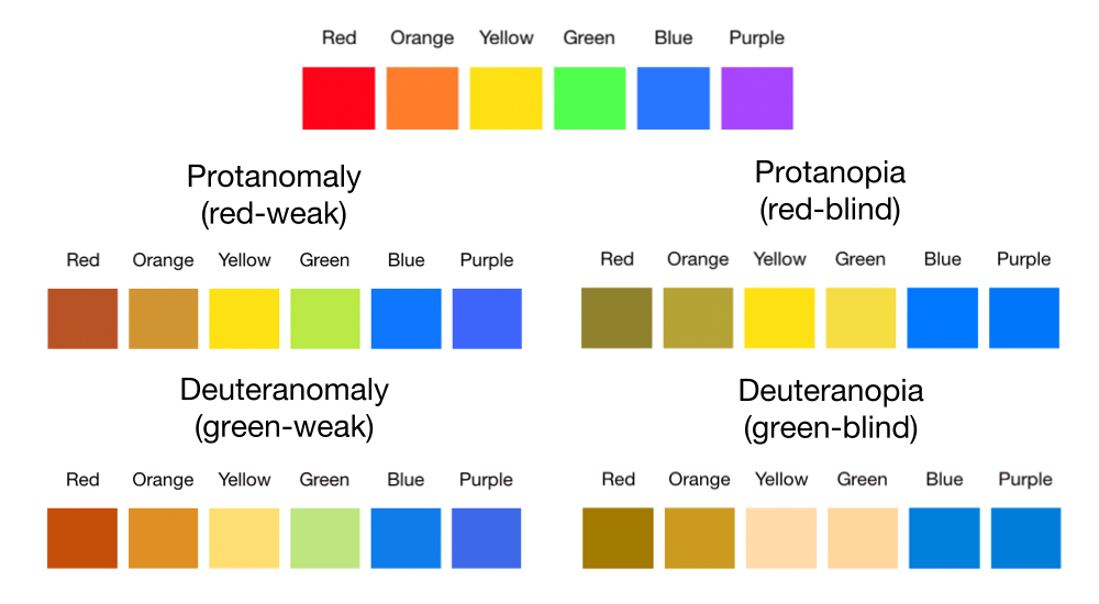 Uncovering Red-Green Colorblindness: Diagnosis Methods and Tests ... Uncovering Red-Green Colorblindness: Diagnosis Methods and Tests ...